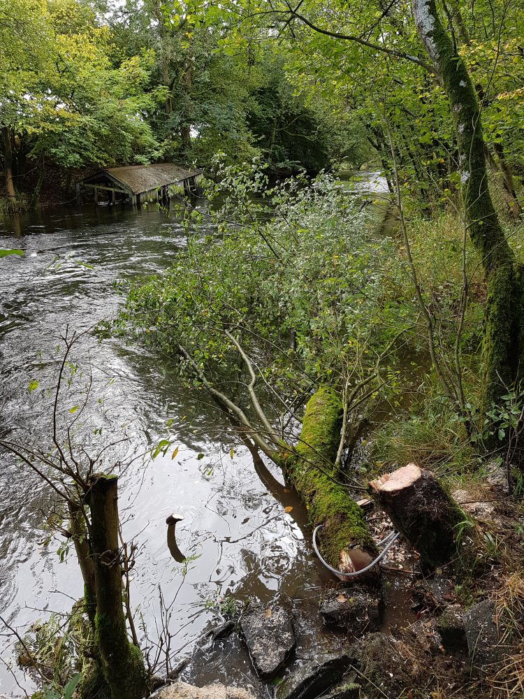 Creating fish refuge sites - Conserving Coniston & Crake