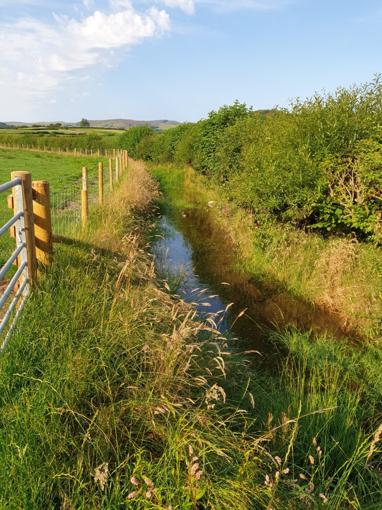 Farm Constructed Wetland Success! - Conserving Coniston & Crake